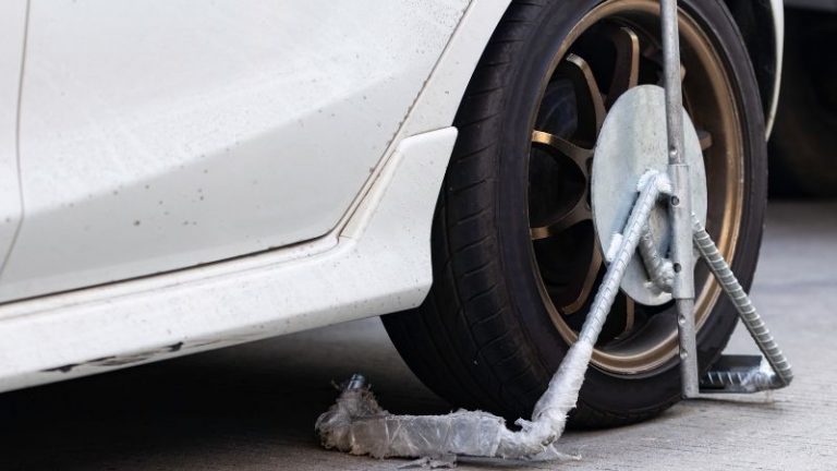 What Are Wheel Locks? (Do They Work, Benefits, Types + More)