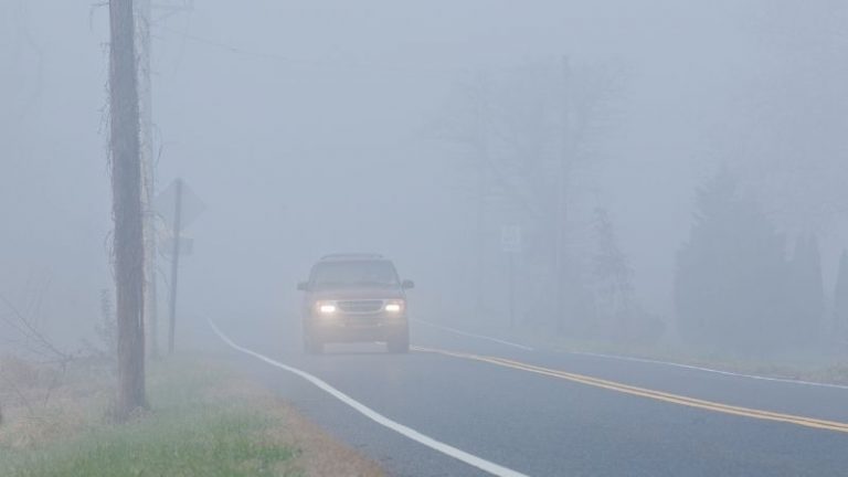 What Headlights To Use In Fog (All You Need To Know)
