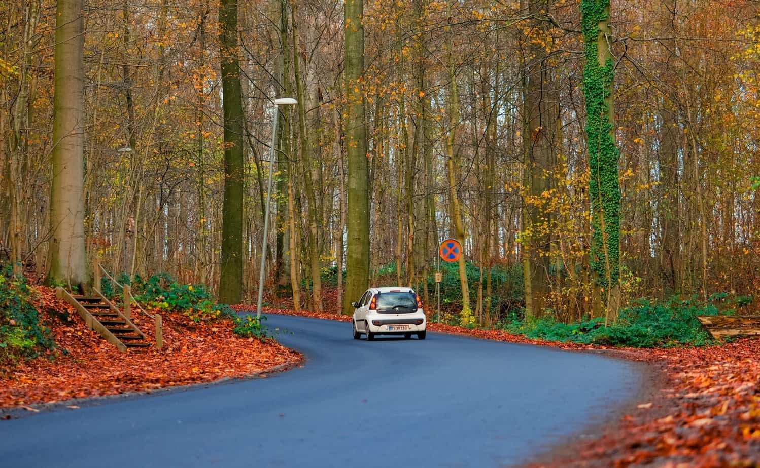 11 Reasons Cars Make Noise Turning Right But Not Left